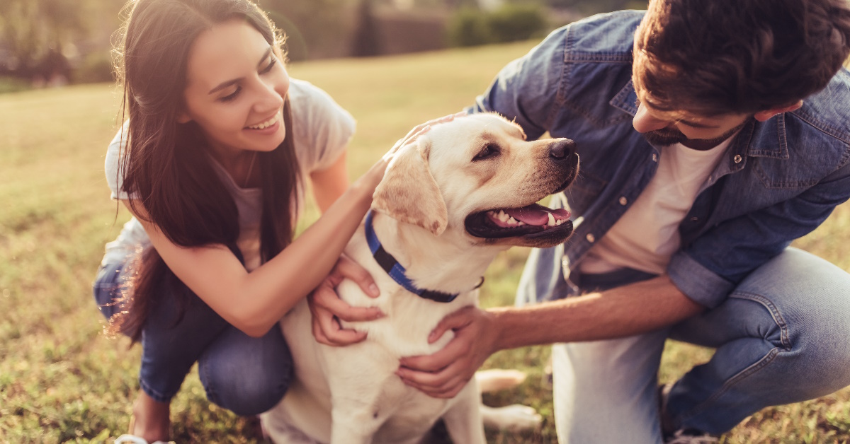 15 Best Side Hustles for Animal Lovers (#4 Is So Cute!) | FinanceBuzz