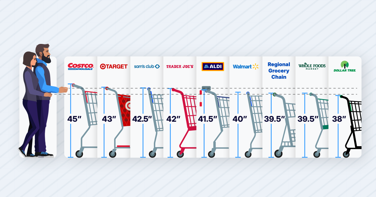 We Measured Shopping Carts at 9 Retailers To Find the Perfect Fit for ...