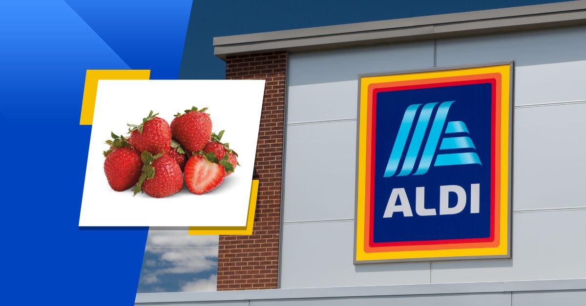 11 Items That Aren’t Worth the Trip to Aldi | FinanceBuzz