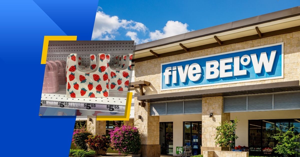 16 Completely Random Five Below Items That Are Actually a Great Deal ...