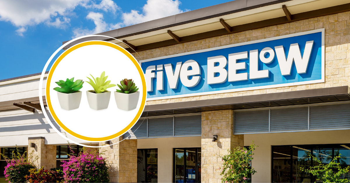 15 Five Below Items That Will Elevate Your Office Space | FinanceBuzz