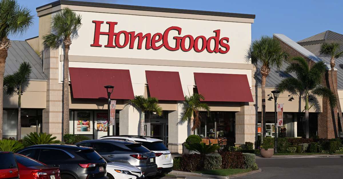 14 Stunning HomeGoods Rugs That Look High-End (Without the Price Tag ...