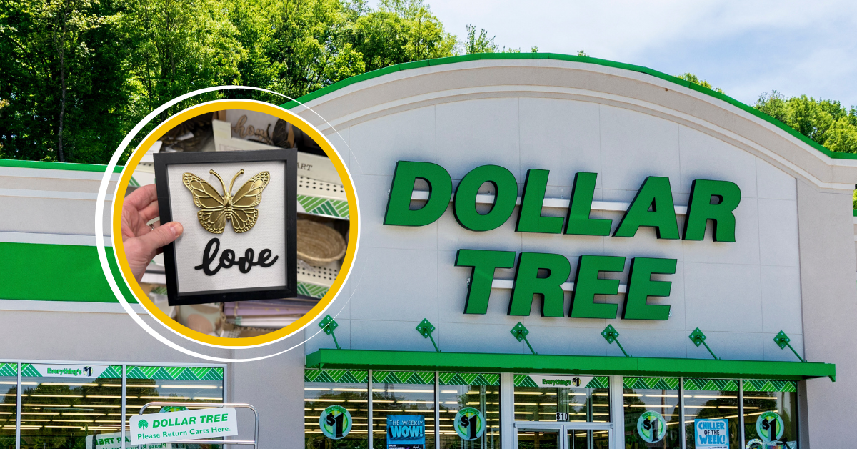 16 New January Dollar Tree Home Items Worth Combing the Aisles For ...