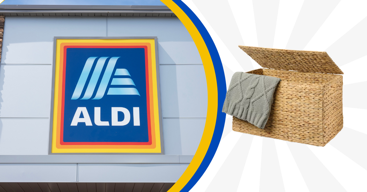 10 Best Aldi Weekly Deals on Storage Solutions (Starting at $3.99 ...